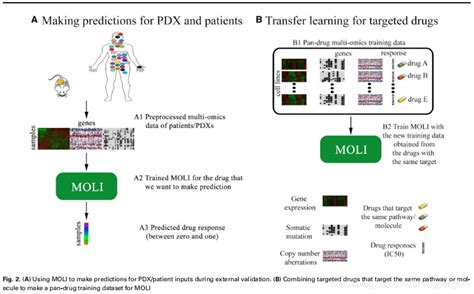 moli multi omics late integration with deep neural networks for drug response prediction bbit