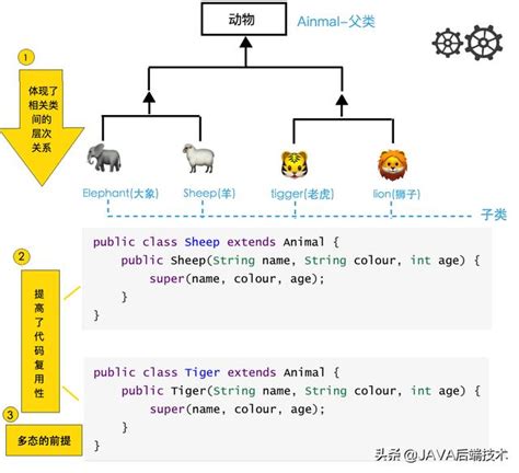 子类继承父类的构造方法 带你认识继承（extends） 简明教程 csdn博客