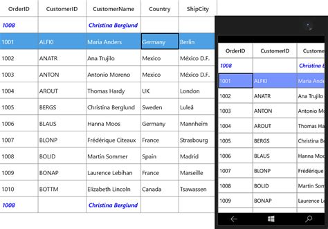 Styles And Templates In UWP DataGrid Control Syncfusion