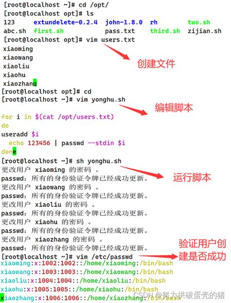 细讲shell中的循环语句 for、while、until shell forsi循环 csdn博客