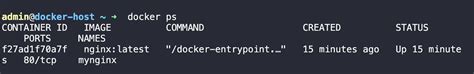docker exec how to enter into a docker container s shell