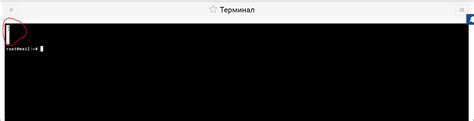 The Terminal Broke Webmin Virtualmin Community