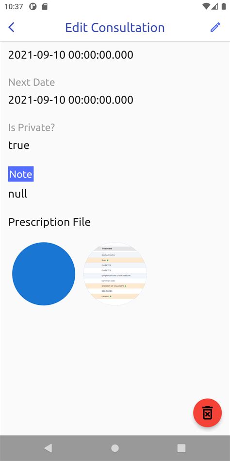 flutter display list of pdf and image separately from api in flutter