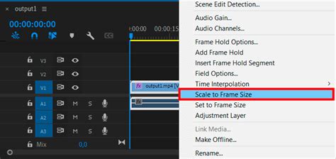 How To Resize Video In Adobe Premiere Pro With No Efforts