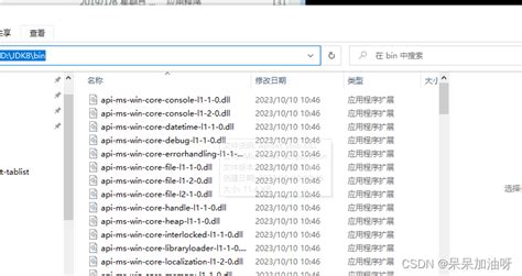 【java基础学习】之jdk环境变量的配置 csdn博客