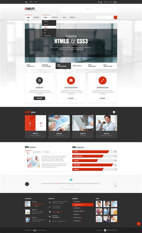 Stability Responsive HTML5 CSS3 Template By Dan Fisher ThemeForest