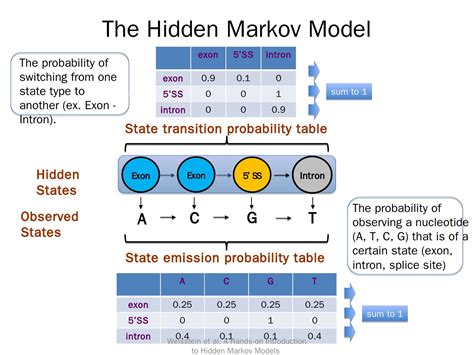 an introduction to hidden markov models hmm gep community
