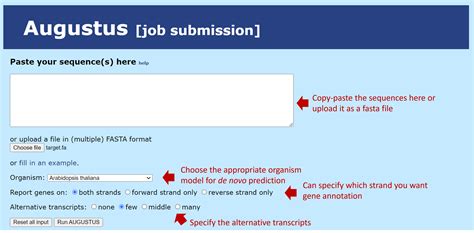 Extract Nucleotide Sequence From A Fasta File JIC Student Voice