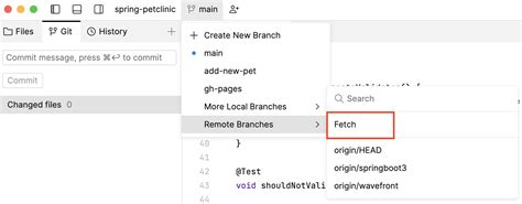Manage Git Branches Jetbrains Fleet Documentation