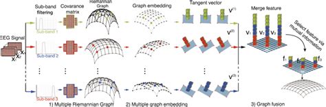 of multiple riemannian graph fusion mrgf 1 multiple riemannian download scientific diagram