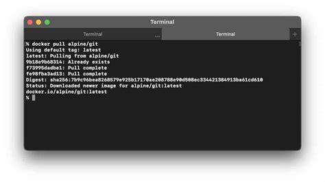 Docker Install Git On Alpine Linux Code2care