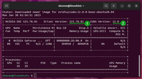 How To Use The NVIDIA GPU In Docker Containers On Ubuntu 22 04 LTS
