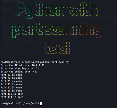 Creating A Port Scanning Tool With Python Deniz Halil