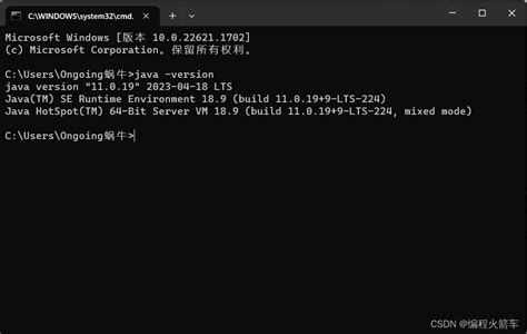 【java基础学习打卡11】path环境变量的配置 jdk11环境变量配置 csdn博客