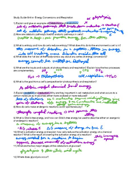 Study Guide Unit 4 Study Guide Unit 4 Energy Conversions And