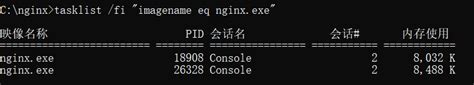 windows下nginx的安装与使用 windows下启动nginx 爱喝ad奶的博客 csdn博客