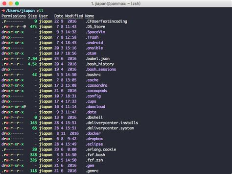 Exa Zsh Syntax Highlighting
