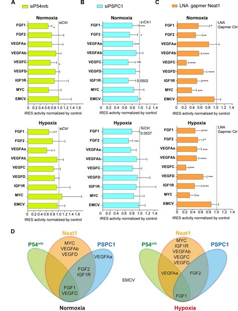 Figures And Data In Long Non Coding RNA Neat1 And Paraspeckle