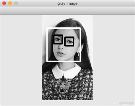 pytorch用opencv提供的函数实现基于haar特征的人脸检测 opencv reshape python mob64ca13fb1f2e的技术博客 51cto博客