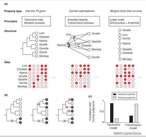 figure 3 from theory based bayesian models of inductive learning and reasoning semantic scholar