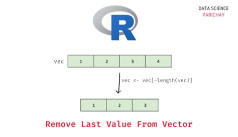 R Remove Last Value From A Vector Data Science Parichay