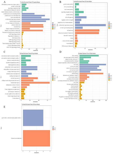 Function Enrichment Analysis Of Important Modules A Enrichment