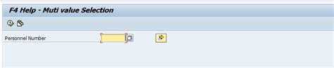 An SAP Consultant ABAP Multiple Value Selection From F4 Help For
