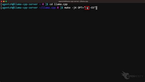CPU 時間是如何耗費在 llama cpp 程式和 LLaMA2 模型內部的使用 OpenResty XRay OpenResty