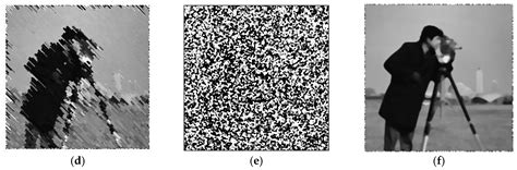 applied sciences free full text high noise grayscale image denoising using an improved
