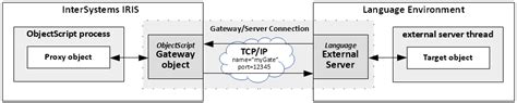 Passarela De Linguagem Externa De Java Intersystems Developer Community