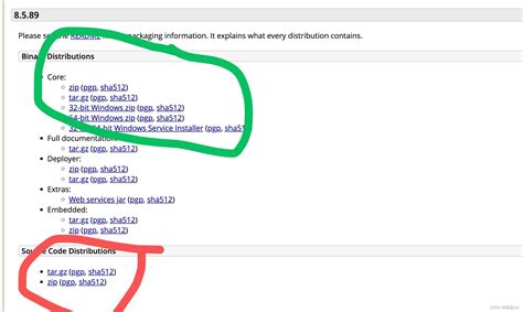 Tomcat8 Error Could Not Find Or Load Main Class Org Apache Catalina