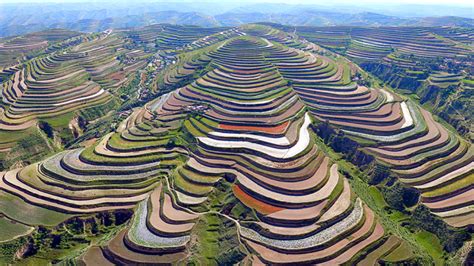 绿色在黄土高原上铺展黄河中游水土流失治理记 新闻频道 中华网