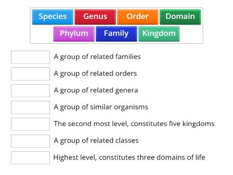 taxonomy hierarchy match up