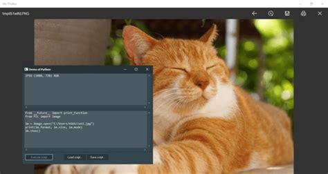 Learn To Build A Python Gui For Easily Processing Images With Pillow Library In A Delphi Windows App