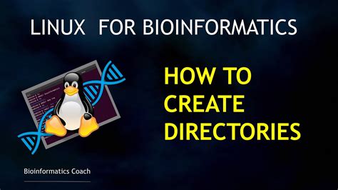 Linux For Beginners In Bioinformatics How To Create Directories