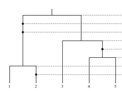 tree is there a r function to add points in a dendrogram stack overflow