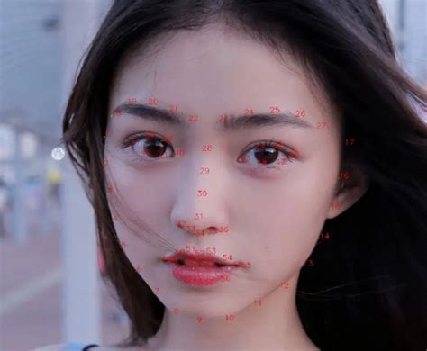 python实现进阶版人脸识别 知乎