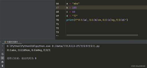 学习python记录：基础 1 变量 csdn博客