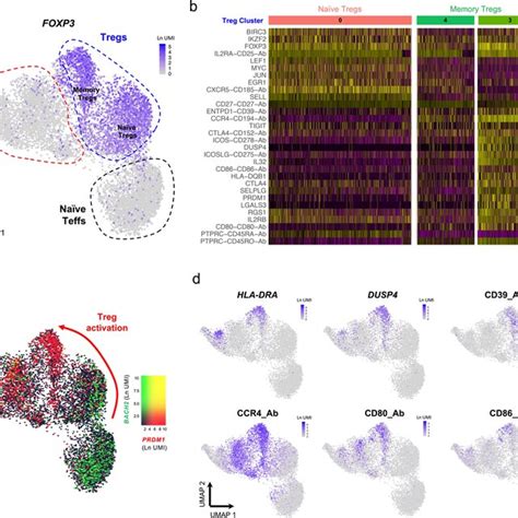 integrated single cell targeted multi omics approach identifies a download scientific diagram