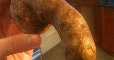 the flaccid potato imgur