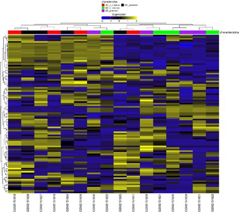 Hierarchical Heatmap Clustering Of Gene Expression GSE81396 In This