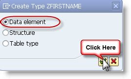 How To Create A Data Element In SAP SAPHub