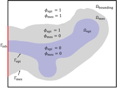 figure 1 from simulating organogenesis in comsol comparison of methods for simulating branching