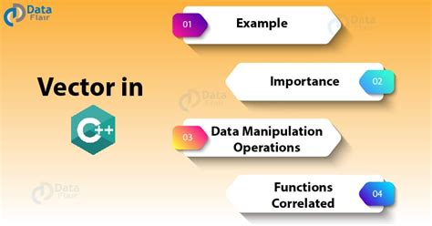 c vector learn 5 types of functions associated with vector dataflair