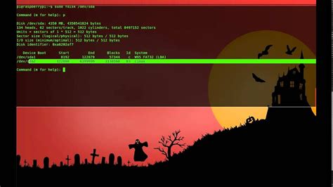 Emulating Raspberry Pi On Linux With QEMU Part 2 Resizing