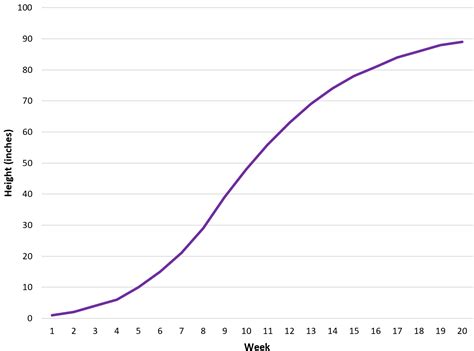 How To Read A Semi Log Graph With Examples Statology