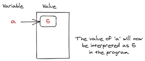 algodaily introduction to javascript variables and assignment