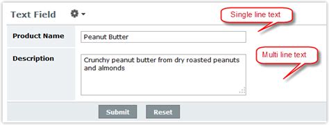 Zoho Creator Configuring A Text Field Single Line Text Multi Line Text