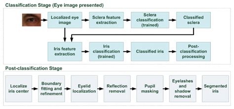 block diagrams of proposed iris segmentation method download scientific diagram