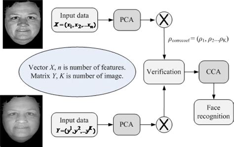 the principles of the cca pca algorithm based on 2d 3d image fusion download scientific diagram